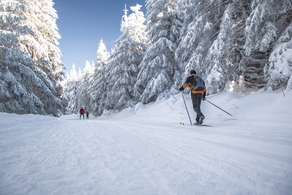 Loipenportal - Thüringer Wald
